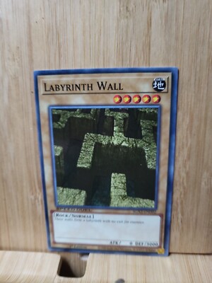 Yu-Gi-Oh! 🏆Labyrinth Wall - Speed Duel - 1st Edition🏆COMMON Card | eBay ...