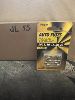 Victor Auto Fuses SET SFE14 SFE20 AGC10 AGC15 ACG30 | eBay
