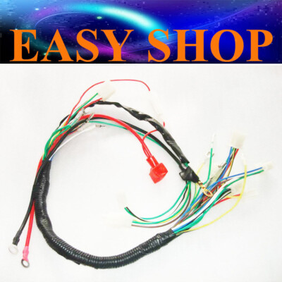 WIRE LOOM WIRING HARNESS 50cc 70cc 90cc 110cc 125cc Kymco Apollo ...