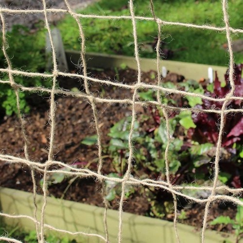 2m x 5m Plant Support Netting Jute Twine Trellis Natural Pea Plants ...