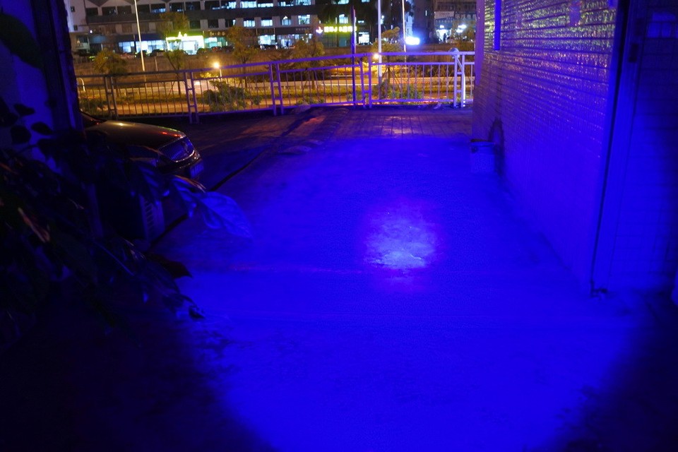 470nm Pen Type Blue Light LED Flashlight Hunting Night Vision Blue LED ...