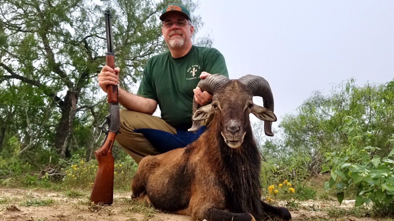 Super Discount Exotic Ram Hunt / Deer Hunting Hog Texas / 2 Nights ...