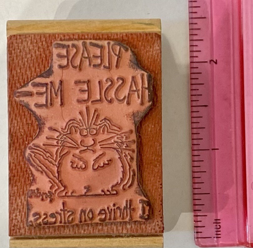 HASSLE ME I THRIVE ON STRESS SANDRA BOYNTON Kidstamps joke funny cat ...