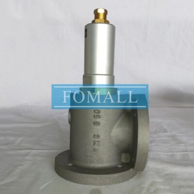 1Pcs New Fit For VMC Air compressor Minimum pressure valve assembly G50 ...