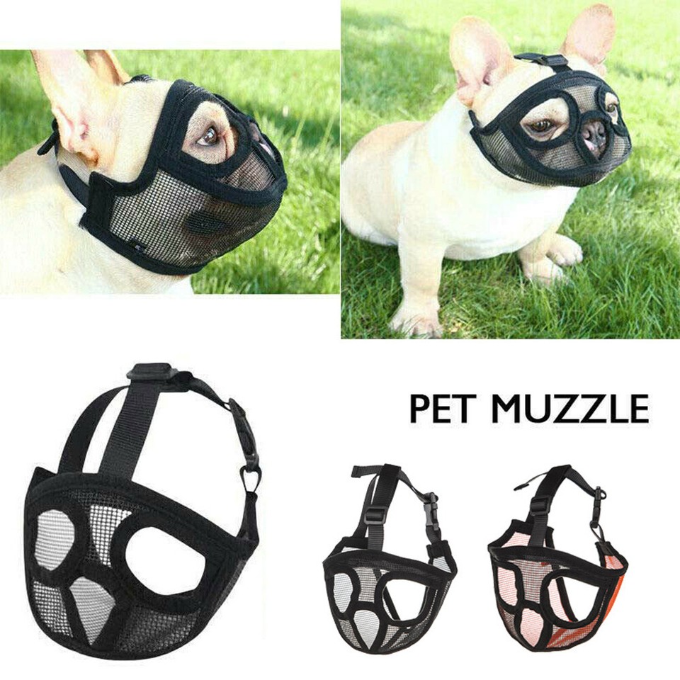 Pet Dog Muzzle Anti Barking Biting Mesh Mask for Short Face Breed ...