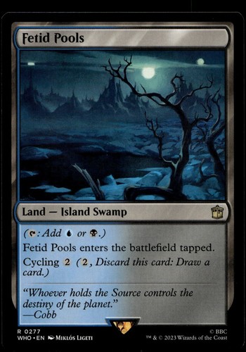 Fetid Pools 277 MTG Dr Who Magic Gathering NM X1 | eBay