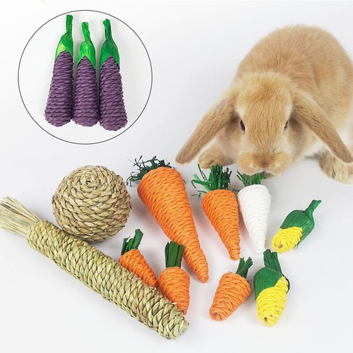 Pet Chew Toys for Rabbit Small Animal Teeth Care and Exercise Natural ...