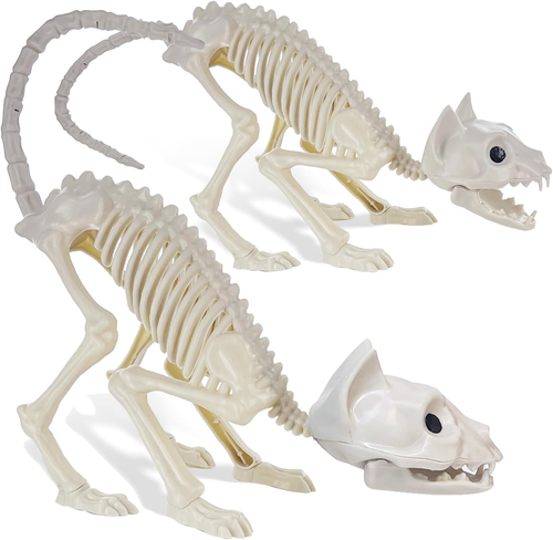 2 Pack Real Size Cat Skeleton - 20" Long Creepy Kitten Skeletons with ...