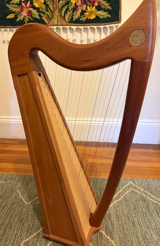 Stoney End "EVE" 22 String Lap Harp | eBay