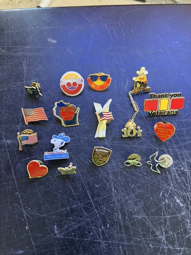 Pin Lot Of 17 USA Flag Veterans Summerfest Pacific Trail Snoopy | eBay