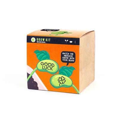 Magic Beans Grow Kit Message Bean Novelty Good Luck Gift Garden ...