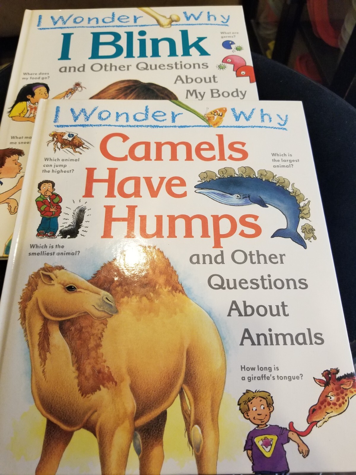 Lot of 2 I Wonder Why books, I Blink and Camels Have Humps (Hardcover ...