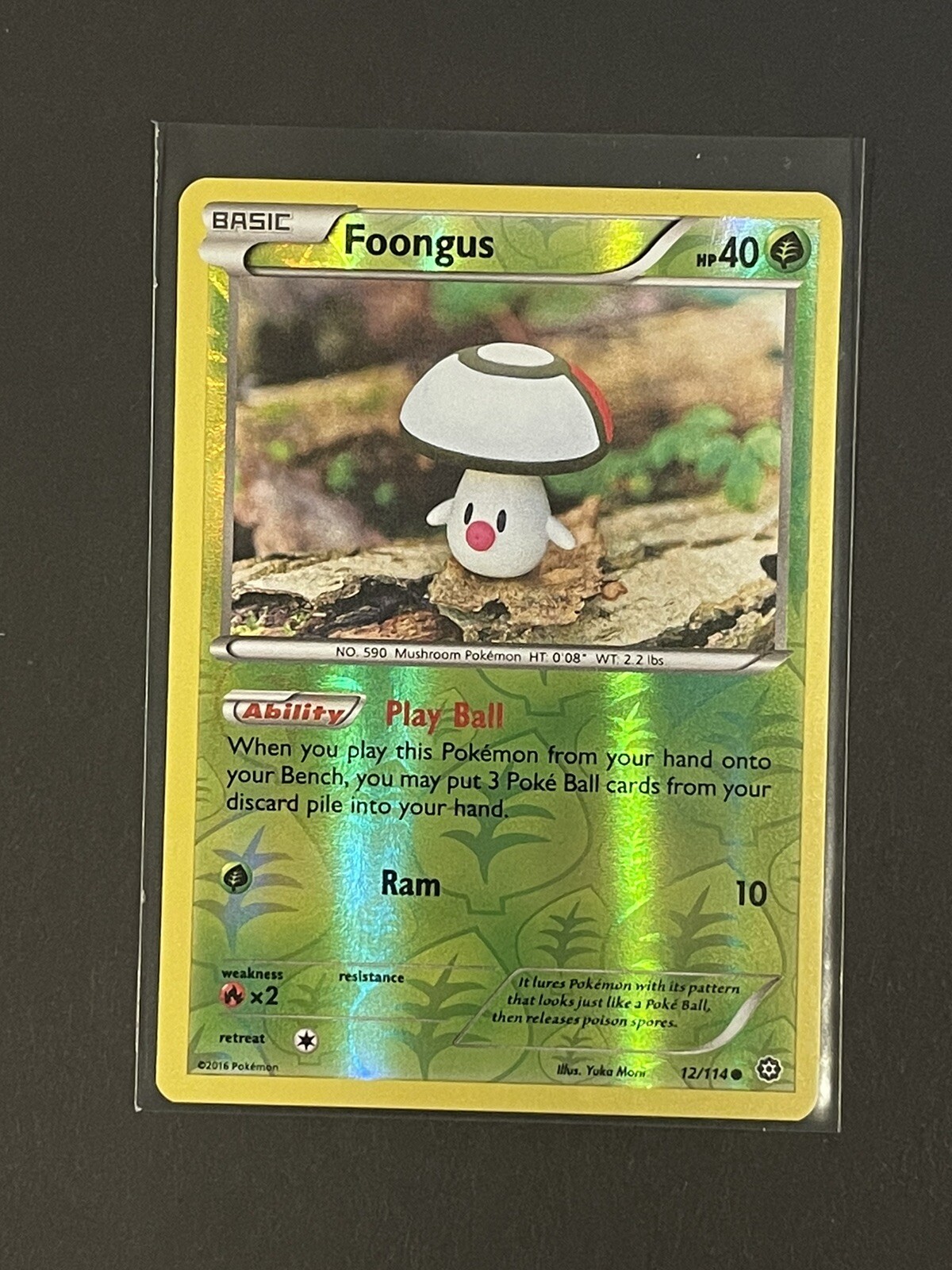 Pokemon Card 2016 Reverse HOLO Foongus #12/114 Common NM+ | eBay