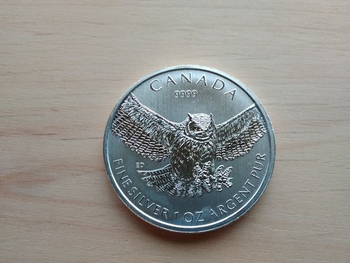 1 Oz 9999 Ag Canada OWL 2015 Birds of Prey Silber Munze Eule Silver ...