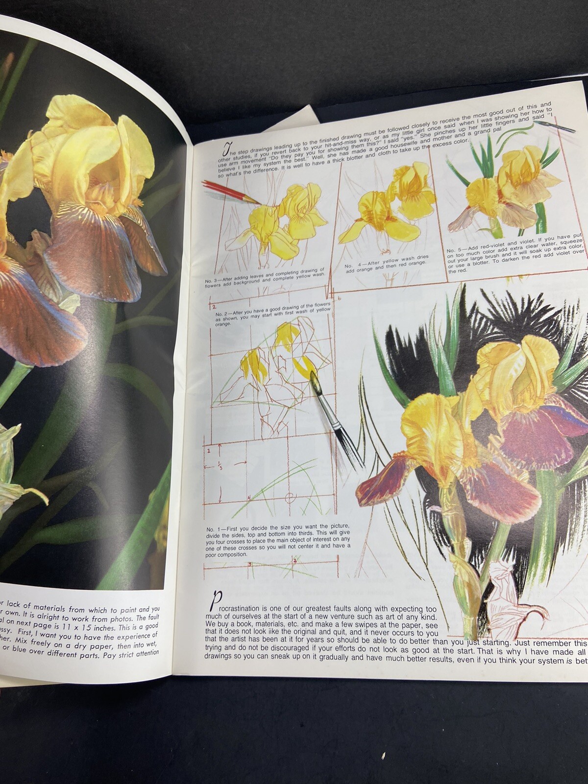 2 Walter Foster Art Books Watercolors Step-by-Step How to Draw and ...