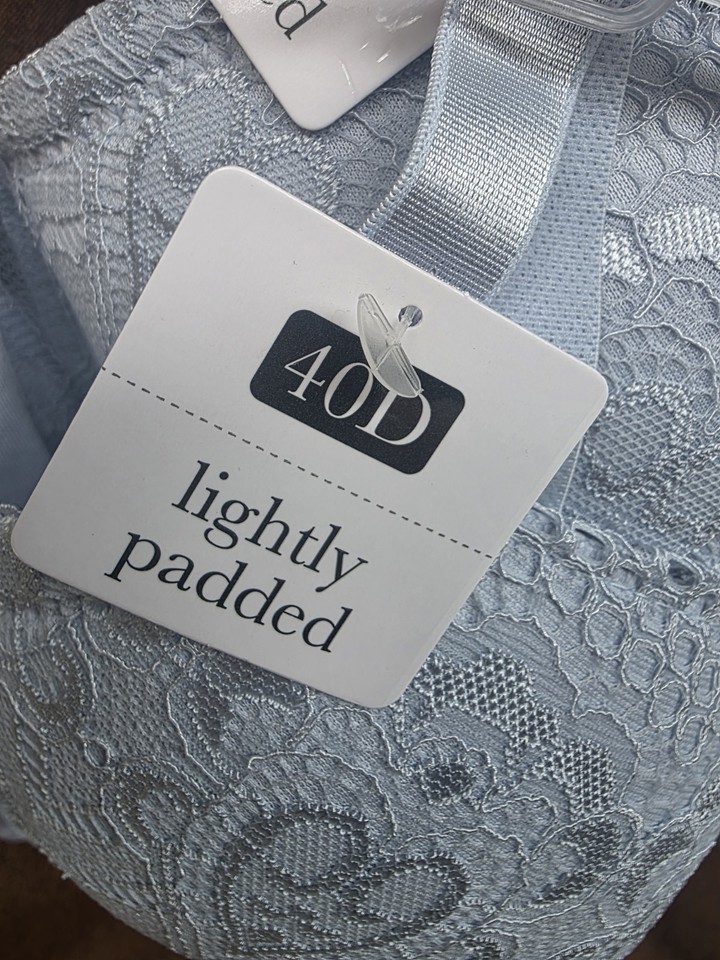 Rene Rofe Bra Beautiful Lace Lightly Padded Size 40D powder blue | eBay