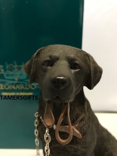 Leonardo Walkies Sitting Golden Labrador Black Lab Holding Lead ...