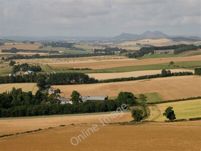 Photo 6x4 Farmland at Sweethope Nenthorn Viewed from Sweethope Hill in ...