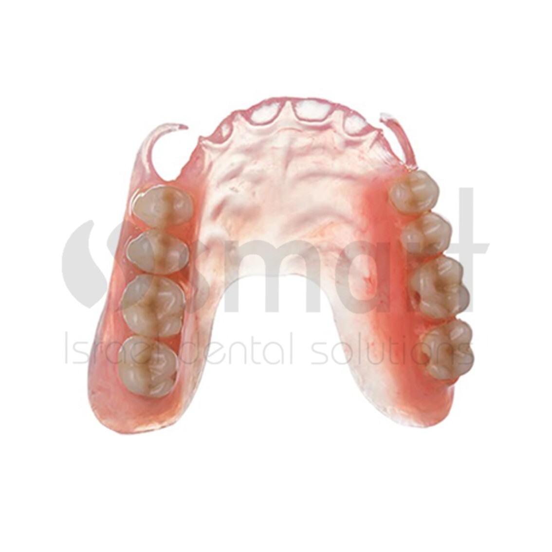 Next Lux-f Dental Flexible Thermoplastic injection Dentures carriage ...