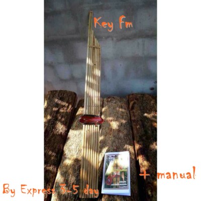 Mor Lam Khaen Bamboo Double Silver Tongue Mouthorgan Musical Instrument ...