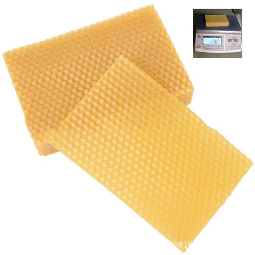30 X/set Beehive Foundation Bee Hive Wax Frames Beekeeping Equipment ...