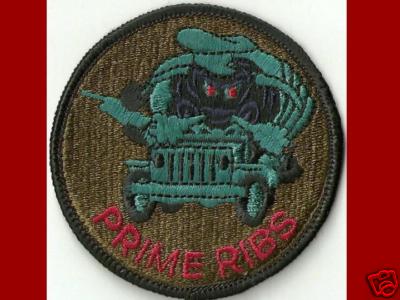 Prime Ribs Subdued Air Force Patch | eBay