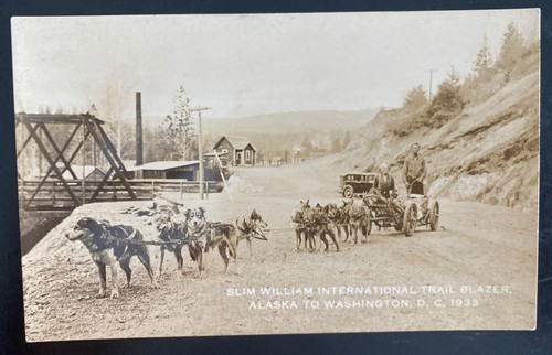 Mint USA Real Picture Postcard Slim William Trail Blazer Alaska Dogs ...