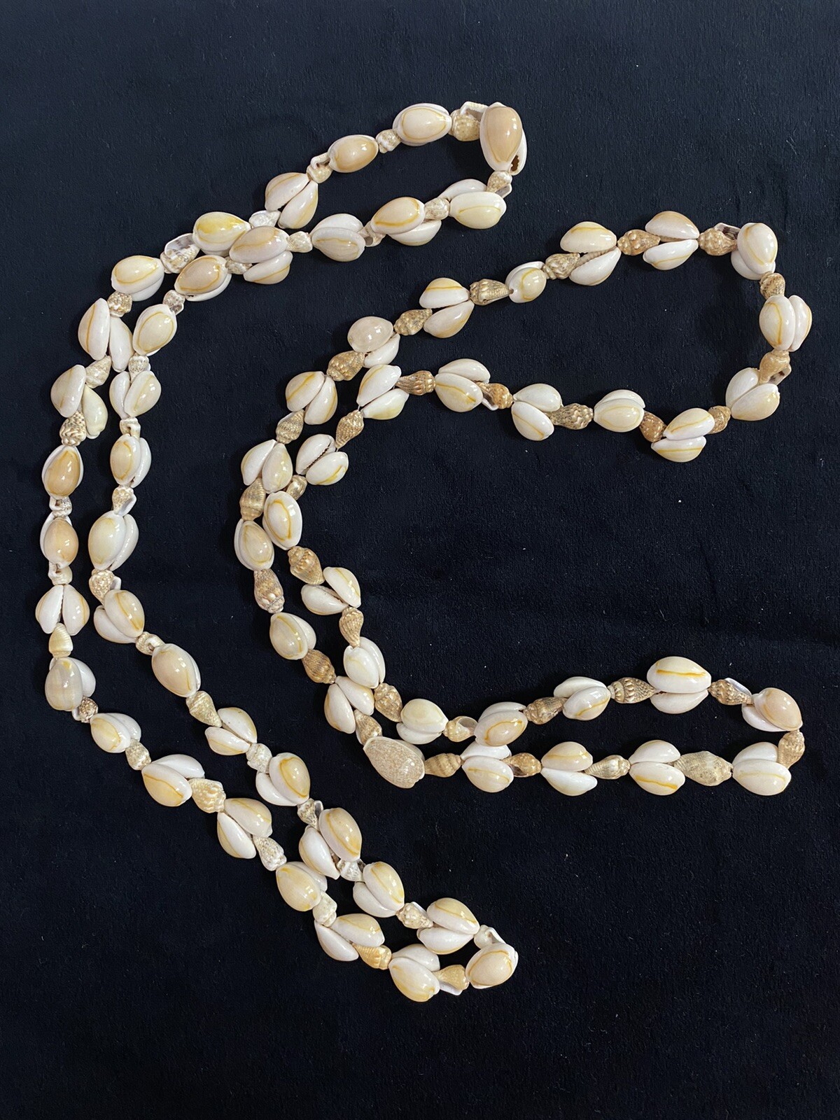 Beautiful vintage cowrie shell necklaces estate jewel… - Gem