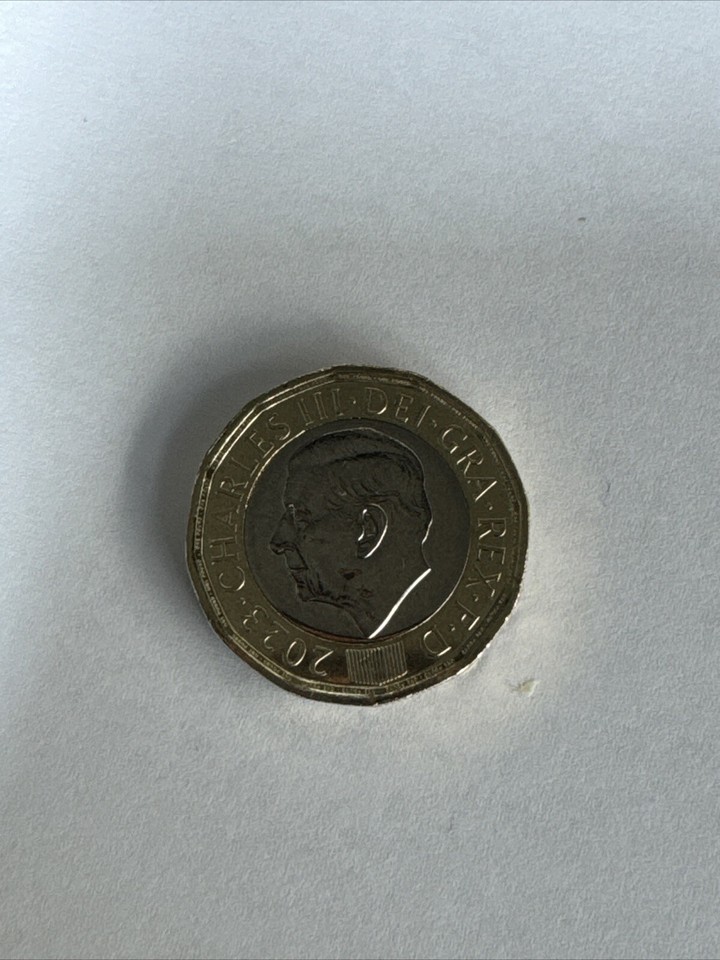 2023 £1 One Pound Coin Bees - Charles III Uncirculated UK coin | eBay UK