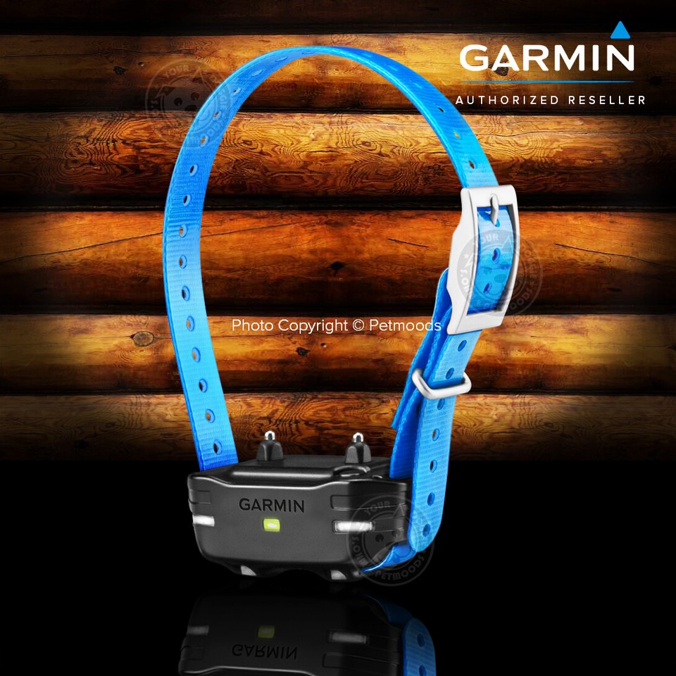 Garmin PT10 Additional Dog Device Blue Collar Strap - Sport PRO, PRO 70 ...