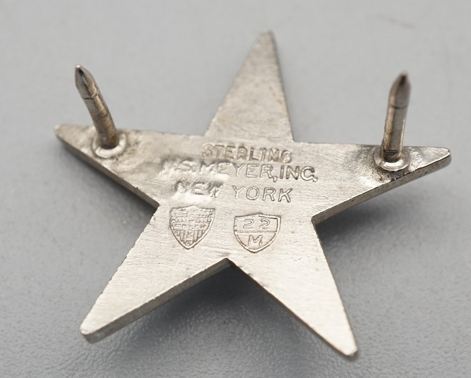 Vietnam War Sterling Army Brigadier General Star Shoulder Insignia Pin ...