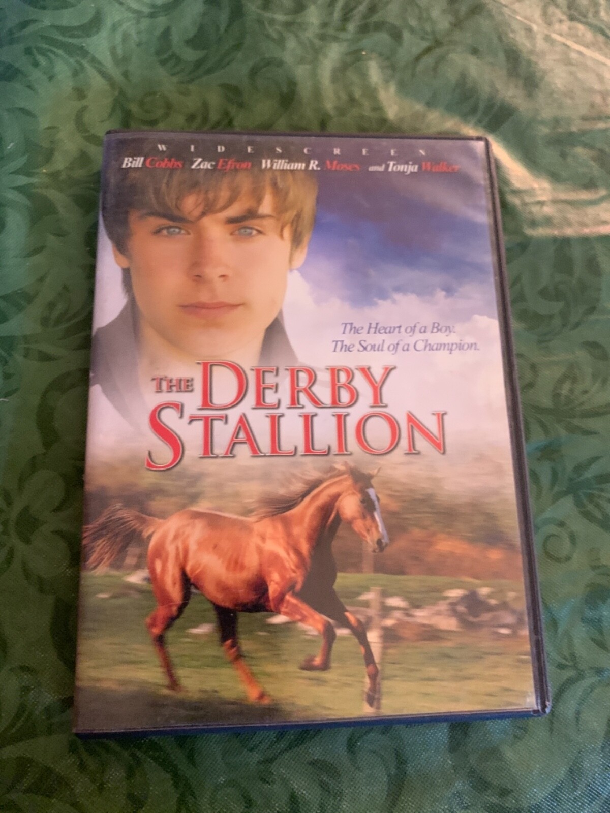 The derby stallion DVD tested~ Shelf204 | eBay