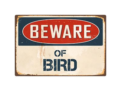 Beware Of Bird 1 8" x 12" Vintage Aluminum Retro Metal Sign VS054 | eBay