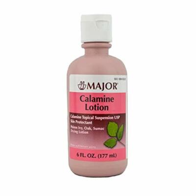 Major Calamine Itch Relief, 8% / 8% Strength Lotion 177 mL Bottle, 1 ...