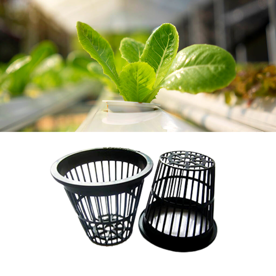 2" Black Plastic Hydroponic Aeroponic Mesh Pot Net Cup Nursery Planting ...