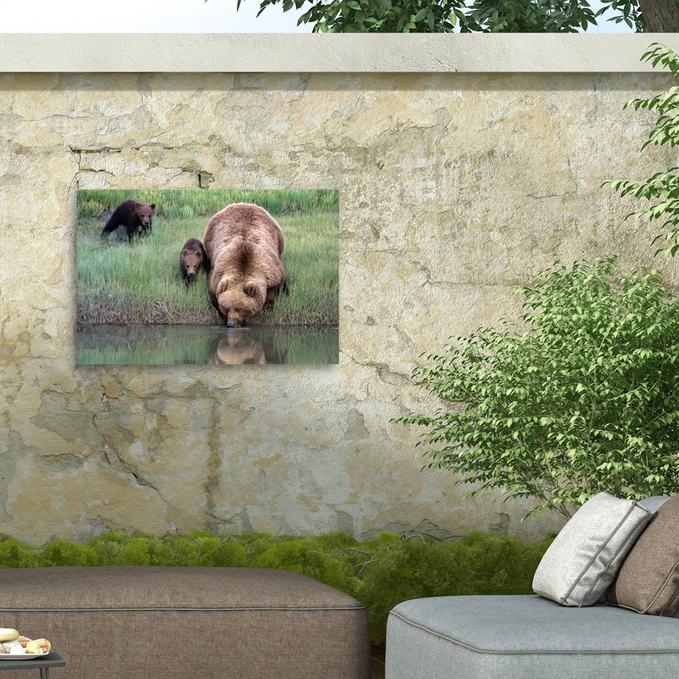 Outdoor Canvas Art - Renee Doyle 'Thirsty work' Wall Art for Outdoor ...