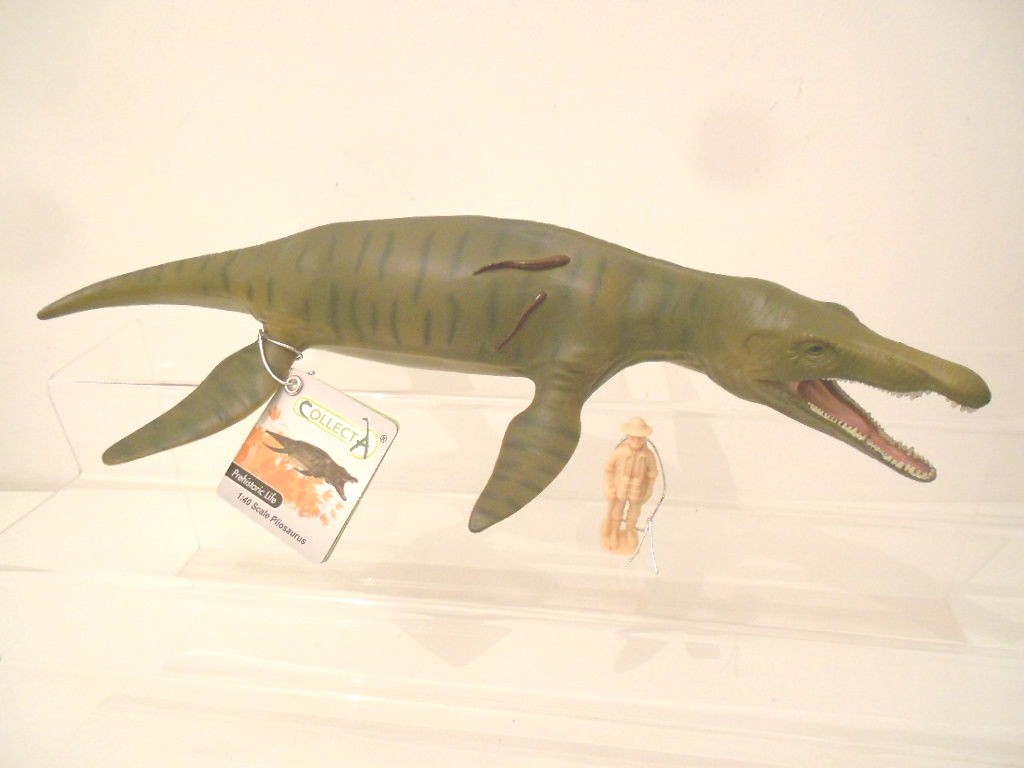 Pliosaurus Dinosaur 1:40 Scale Deluxe Toy Model Figure by CollectA ...