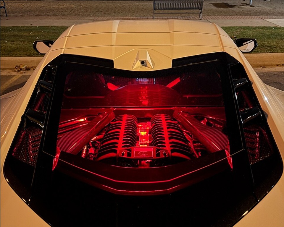 C8 Corvette Stingray / Z06 / E-Ray Engine Bay LED Lighting Kit ...