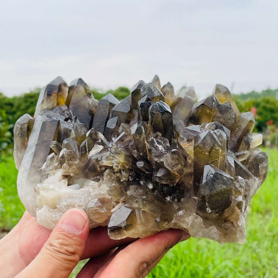 6.75LB TOP Natural black Smoky Quartz Cluster Quartz Crystal Point vug ...