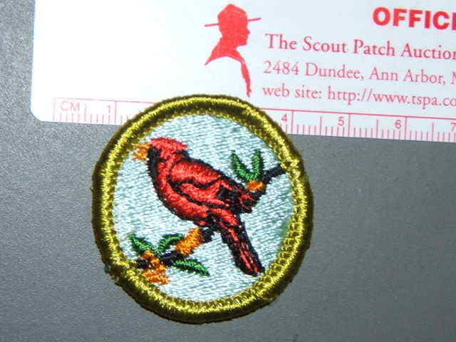 Boy Scout Merit Badge Bird study circa '62 -'71 2890M | eBay