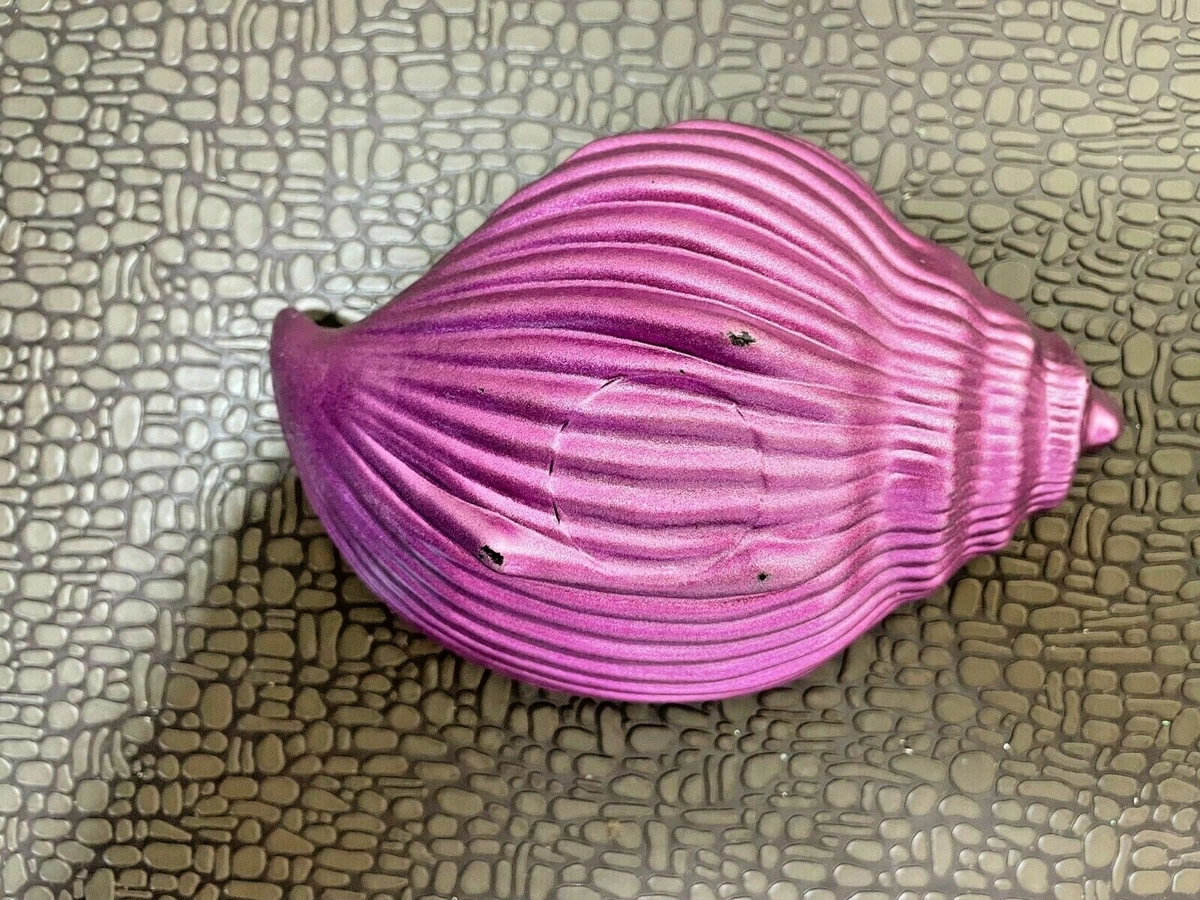 Purple Seashell