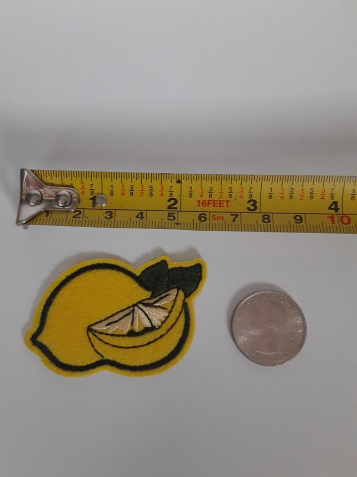 Large Lemon Patches (2-Pack) Fruit Embroidered Iron On Patch Appliques ...