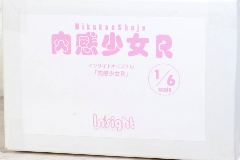 Insight Official Nikkan Girl R 1/6 scale Height 152mm painted figure ...