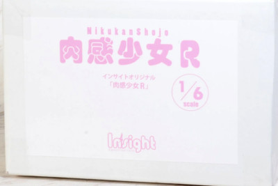 Insight Official Nikkan Girl R 1/6 scale Height 152mm painted figure ...
