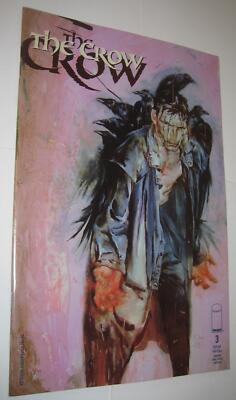 The Crow # 3 NM Image Comics Jon J Muth Jamie Tolagson 1st print | eBay