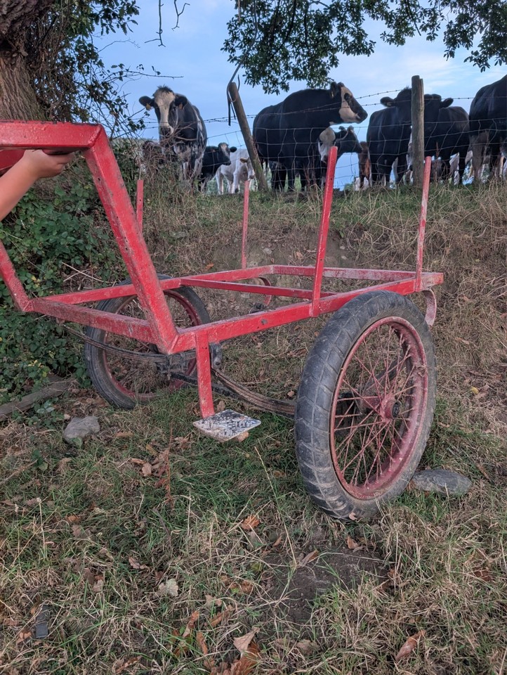 Small horse / large pony trap frame | eBay UK