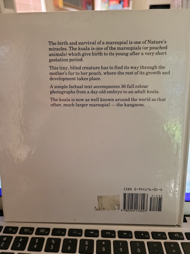 Birth of a Koala by Denise Burt (1988, Hardcover, Reprint ...