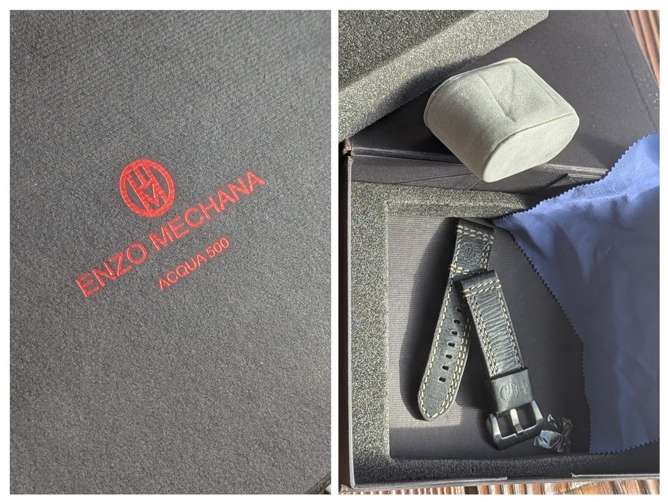 Enzo Mechana Acqua UNIQUE PIECE Brushed 1650FT Diver 44 Swiss Automatic ...