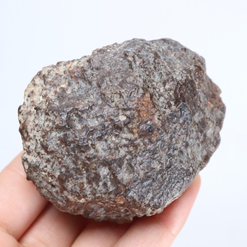254g Chondrite Meteorite,NWA unclassified Meteorite From Northwest ...