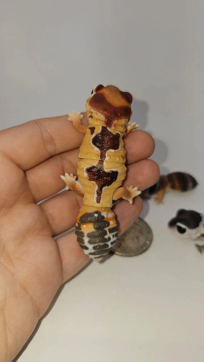 Leopard Gecko Cute